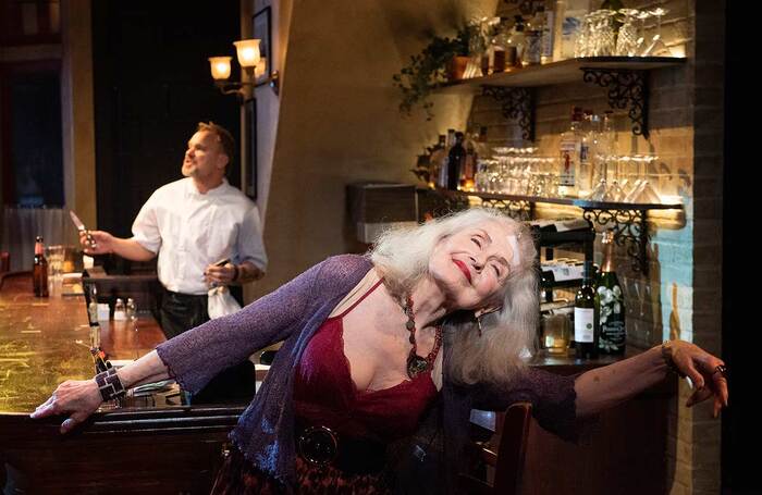 Cornelia Street review at Atlantic Stage 2, New York by Simon Stephens ...
