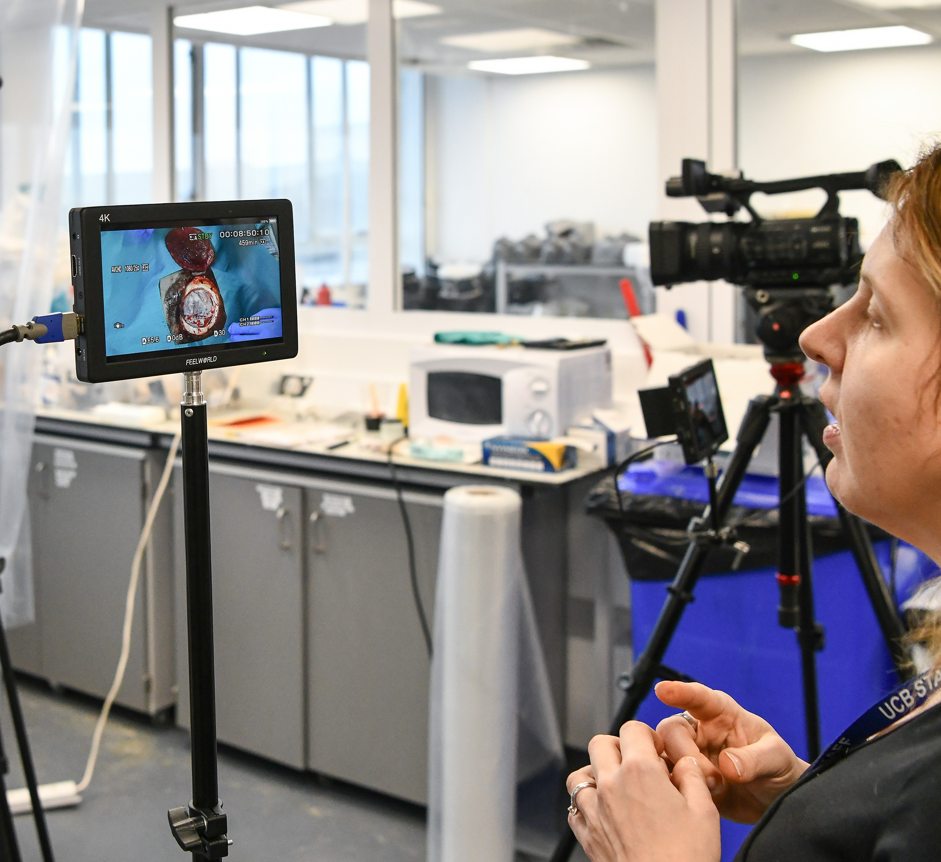 The Stage - Directory Media Library - Screen skills.PNG