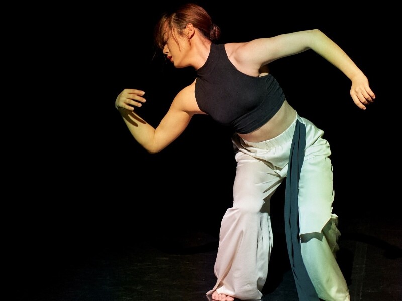 The Stage - Training Media - Leeds MA Dance